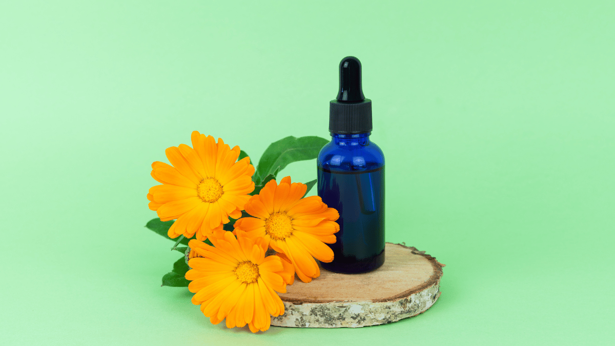 Top 7 Benefits of Marigold Extract for Skin | Clinikally