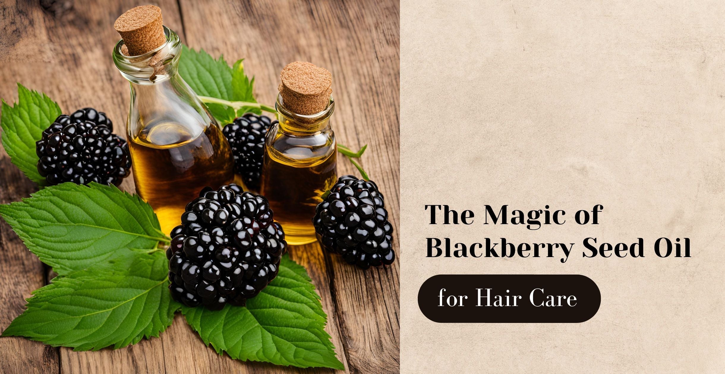 The Magic of Blackberry Seed Oil for Hair Care | Clinikally