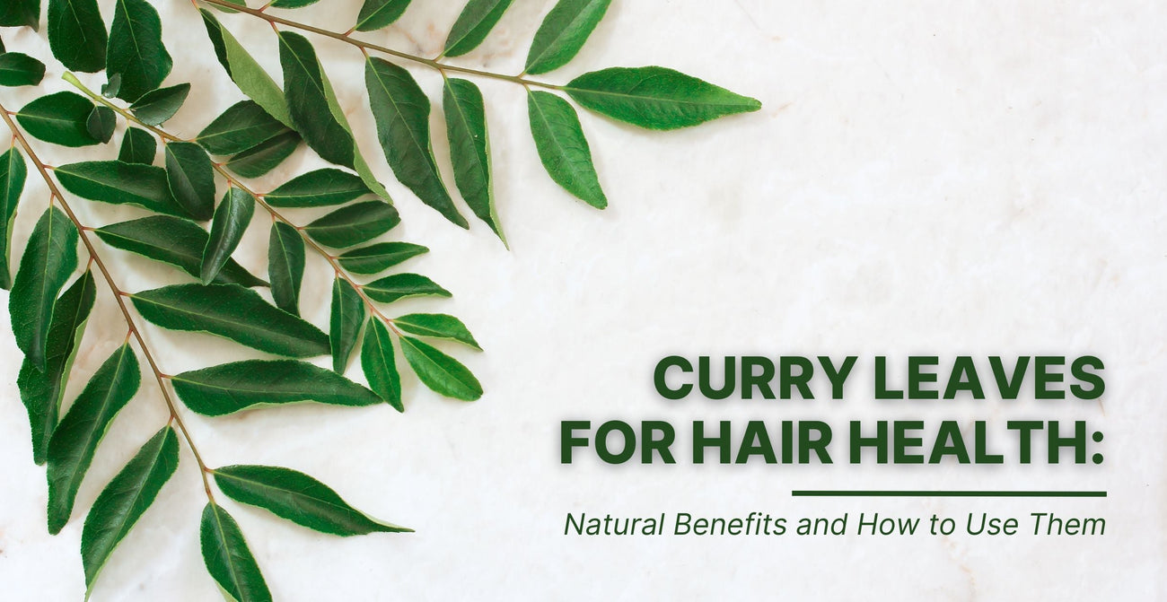 Curry Leaves for Hair Health: Natural Benefits and How to Use | Clinikally