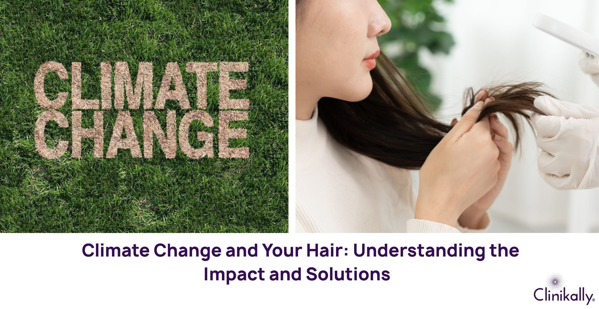 Impact of Climate Change on Hair Health & Tips to Protect Hair