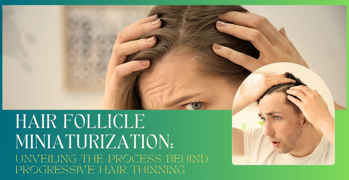 Hair Follicle Miniaturization: Progressive Hair Thinning | Clinikally