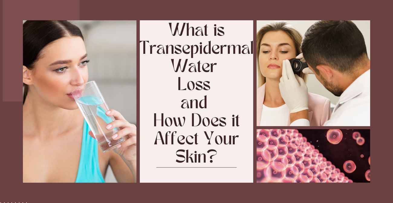 What is Transepidermal Water Loss and How Does it Affect Your Skin ...