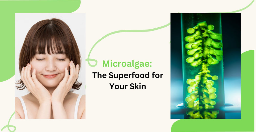 Microalgae: The Superfood for Your Skin | Clinikally