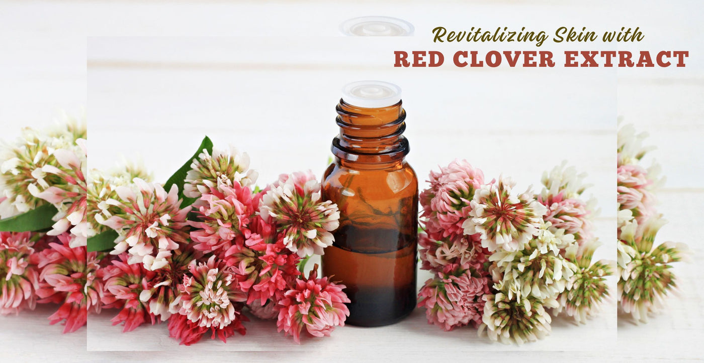 Revitalizing Skin with Red Clover Extract | Clinikally