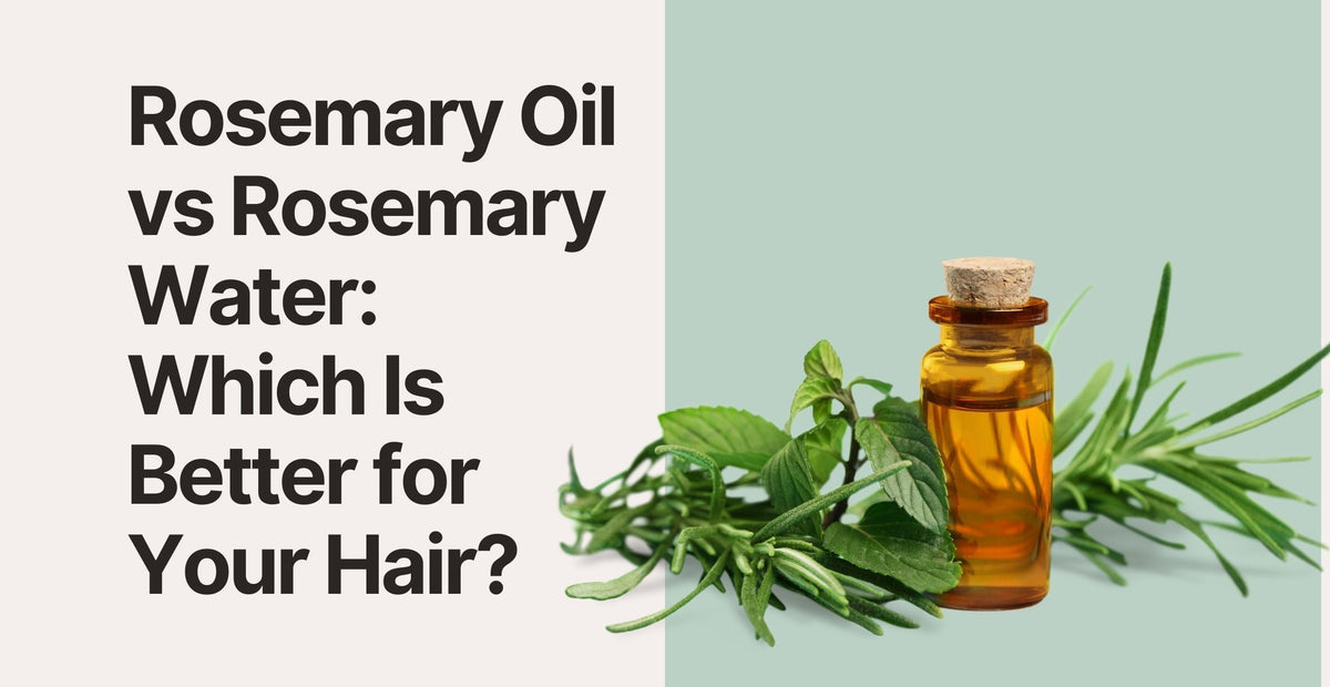 Rosemary Oil vs Rosemary Water: Which Is Better for Hair? | Clinikally