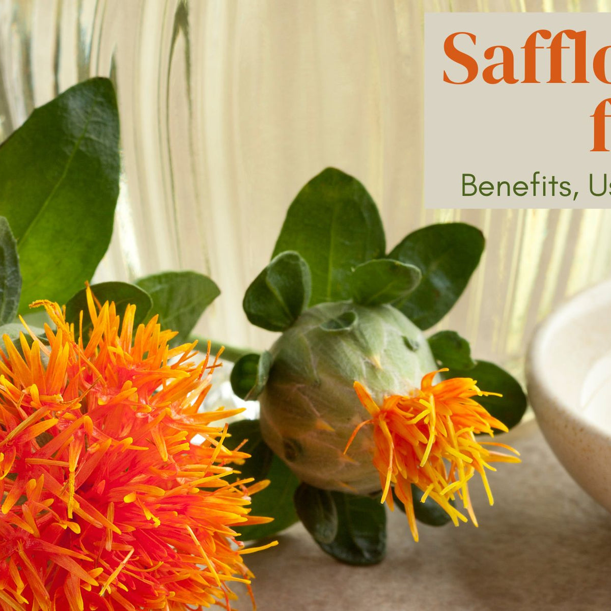 safflower oil