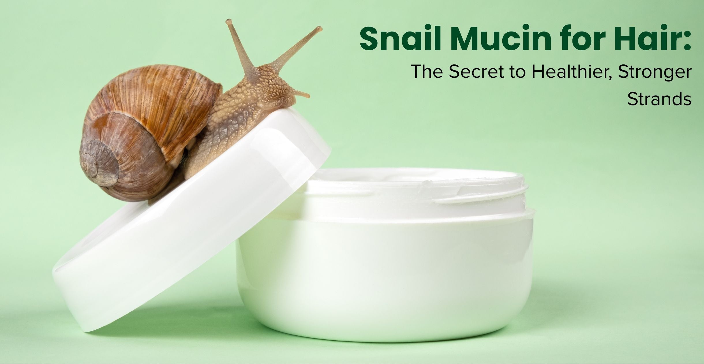 Snail Mucin for Hair: Secret to Healthier, Stronger Strands | Clinikally