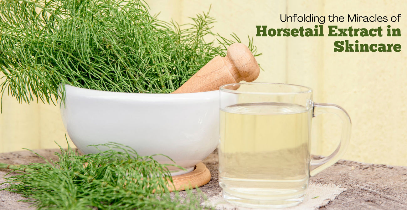 Unfolding the Miracles of Horsetail Extract in Skincare | Clinikally
