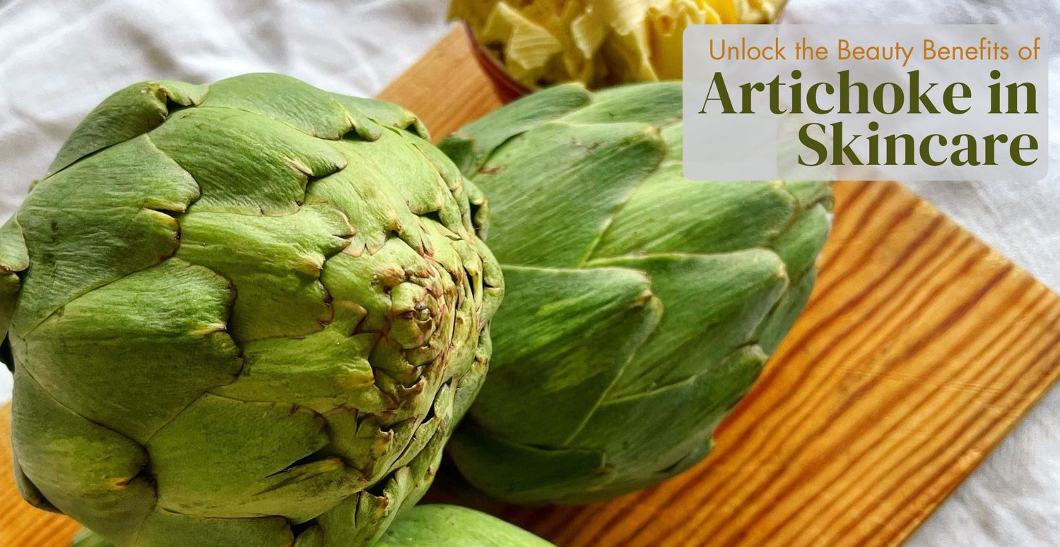how to make artichoke leaf extract